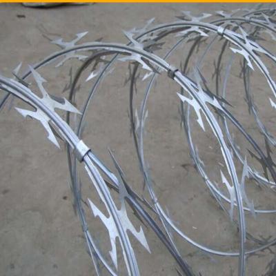 China Galvanized PVC Stainless Steel Concertina Razor Barbed Wire Bto-22 Bto-60 Cbt-65 Fencing Wire Price for sale
