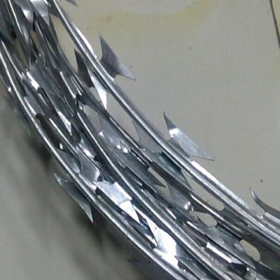 China Coil Diameter 450mm Barb Wire Coil Hot Dipped Galvanized In Fence for sale
