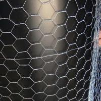China Weaving Hexagonal Wire Mesh Hexagonal Livestock Wire Netting With Hexagon Holes For Chicken Duck Goose for sale