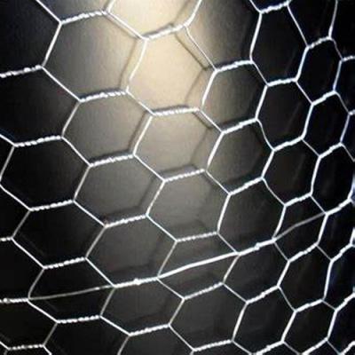 China PVC Galvanized Poultry Farms Fence/Hexagonal Wire Netting/Chicken Wire Mesh for sale