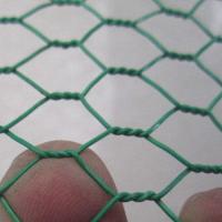 China PVC Galvanized Poultry Farms Fence/Hexagonal Wire Netting/Chicken Wire Mesh for sale