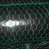 China Hexagonal Wire Mesh Roll Poultry Fencing Chicken Coop Galvanized Wire Mesh for sale