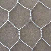 China Best Selling PVC Galvanized Chicken Wire Hexagonal Wire Mesh for sale