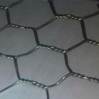 China Galvanized Wire Mesh/Chicken Wire Mesh with Hexagonal Wire Netting for sale