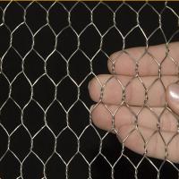 China Galvanized Weave Mesh 0.3mm Hexagonal Chicken Hex Wire Mesh Nettting for sale