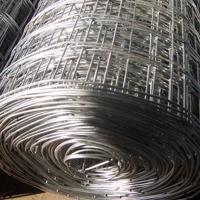 China Galvanized Welded Wire Mesh for Fencing with Factory Price for sale