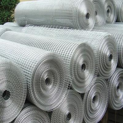 China Hot Dipped Galvanized Welded Wire Mesh Roll 1/2 Inch For Snake Cage for sale