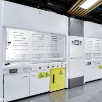 China Polypropylene Ductless Clean Room Fume Hood 220V 50HZ for sale