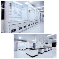 China Carbon Filter Fume Hood Chamber For Laboratory Cleanroom for sale