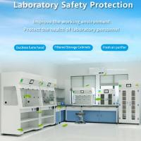China Laboratory Laminar Fume Hood Cupboard PP Ductless Fume Hood Cabinets for Research Labs for sale