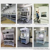 China Laboratory Laminar Fume Hood Cupboard PP Ductless Fume Hood Cabinets for Research Labs for sale