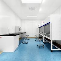 China ISO 14644 Class 8 Modular Cleanroom GMP Pathology Engineering Cleanroom Solution for sale