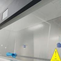 China A2 Biological Safety Cabinet with ULPA Filtration | ISO Class 4 Cleanroom Protection & Intelligent Digital Control for sale