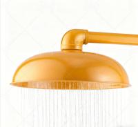 China Laboratory Emergency Shower & Eyewash Station, Stainless Steel, High Flow, ANSI Z358.1 Certified for sale