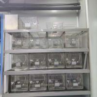 China GCC SUS304 Stainless Steel Laboratory Rabbit Cage System with Automatic Watering Device for sale