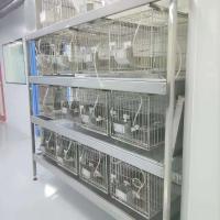 China GCC SUS304 Stainless Steel Laboratory Rabbit Cage System with Automatic Watering Device for sale