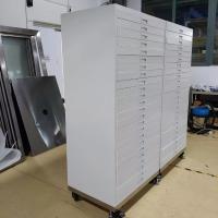 China GCC Cold Rolled Steel Paraffin Block Storage Cabinet for Medical Laboratory Cleanroom for sale