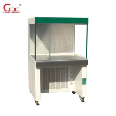 China Color Plate Steel Level 100 Medical Laminar Flow Clean Bench for Pharmaceutical Production for sale