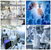 China ISO Approved , Mobile PCR Clean Room for Laboratory Testing GCC Southeast Asia for sale