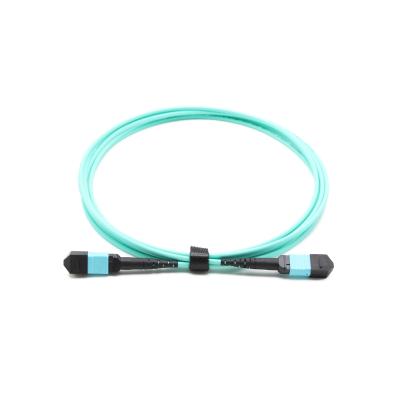 China MPO-MPO OM3 Fiber Optic Patch Cable 12-Core Multimode 50/125 Low Loss LSZH Jacket for sale