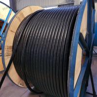 China 0.6/1kV XLPE Insulated PVC Sheathed Copper Power Cable 1.5-500mm² for Power Distribution for sale