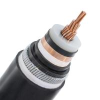China N2XS(F)2Y XLPE Power Cable 18/30 (36)kV Aluminum Conductor PVC Insulation for sale