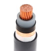 China N2XS(F)2Y XLPE Power Cable 18/30 (36)kV Aluminum Conductor PVC Insulation for sale