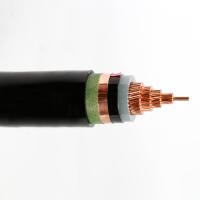 China N2XS(F)2Y XLPE Power Cable 18/30 (36)kV Aluminum Conductor PVC Insulation for sale