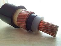 China 12/20kV XLPE Insulated MV Power Cable Copper Aluminum Conductor 1 Core 35-630mm² Underground for sale