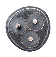 China N2XSY Single Core XLPE Insulated PVC Sheathed Power Cable 33kV 70mm2 Copper Conductor for sale