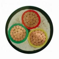 China 0.6/1kV Armoured Power Cable Copper Aluminum Conductor 1.5-800mm² XLPE Insulated for sale