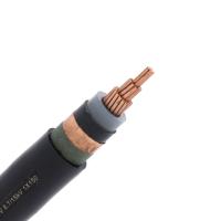 China 95mm2 Copper XLPE Insulated Power Cable 1-35KV Corrosion Resistant High Voltage Submersible Cable for sale
