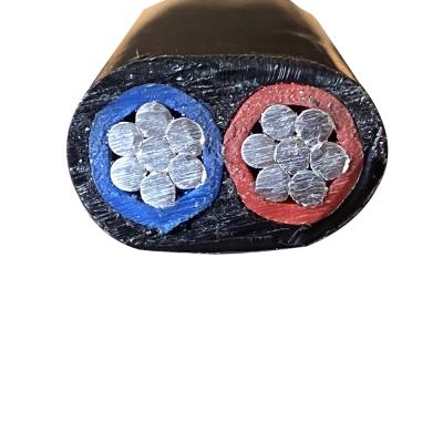 China Aluminum Conductor Concentric Cable 0.6/1kV 2x16mm² Power Distribution Cable for sale