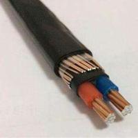 China XLPE Insulated 6 AWG Copper Concentric Cable 0.6/1kV Custom Length for sale