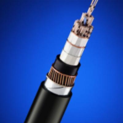 China 500V Copper Conductor PVC Insulation Instrument Cable and Armoured Instrument Cable for Industrial Use for sale