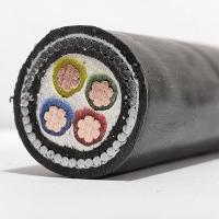 China 0.6/1KV XLPE Insulated Power Cable with Copper Conductor for Outdoor Fixed Installations for sale