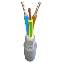 China Z1O-YMz1Kas B2ca 0.6/1 KV Low Voltage Power Cable with Copper Conductor and Flame Retardant XLPE Insulation for sale
