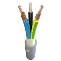 China Z1O-YMz1Kas B2ca 0.6/1 KV Low Voltage Power Cable with Copper Conductor and Flame Retardant XLPE Insulation for sale