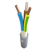 China YMz1K B2ca 0.6/1 KV Low Voltage Power Cable with Copper Conductor and XLPE Insulation for Industrial Applications for sale