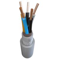 China VO-YMvKas Dca Armored Power Cable 0.6/1 KV Copper Conductor with XLPE Insulation for Industrial Use for sale