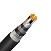 China RE2YKRY 300/500V Armoured Instrument Cable with 1-50 Pairs and Copper Conductor for Industrial Use for sale