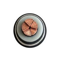 China 110KV 132KV 220KV XLPE Insulated Underground HV Power Cable with Corrugated Aluminum Sheath for sale