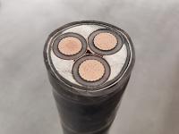 China Medium Voltage Power Cable Directly Buried with Steel/Aluminium Tape Armoured Copper Conductor for Industrial Use for sale