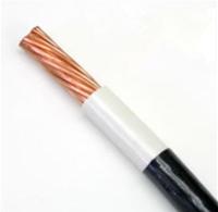 China RVFV-K RV-K Flexible Copper Power Cable with XLPE Insulation and PVC Jacket for Power Station & Home Appliance for sale