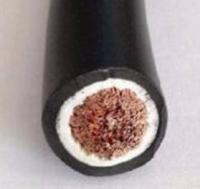 China RV-K Flexible Copper Electrical Wire 1*240mm2 PVC Jacket Cable IP65 Rated for Industrial & Construction Use for sale