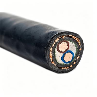 China Multi Cores XLPE Insulated LSZH Sheath Cable 0.6/1kV for Underground Use Low Voltage Power Cable for sale