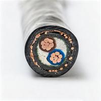 China Multi Cores XLPE Insulated LSZH Sheath Cable 0.6/1kV for Underground Use Low Voltage Power Cable for sale