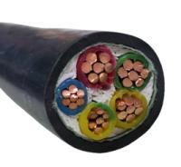 China U1000 RVFV Armored Copper XLPE Low Voltage Power Cable IP66 Rated for Industrial and Mining Applications for sale