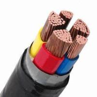 China U1000 RVFV Armored Copper XLPE Low Voltage Power Cable IP66 Rated for Industrial and Mining Applications for sale
