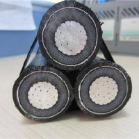 China 12/20 kV Aluminum Conductor XLPE Insulation Medium Voltage Twisted Cable for Industrial Construction for sale